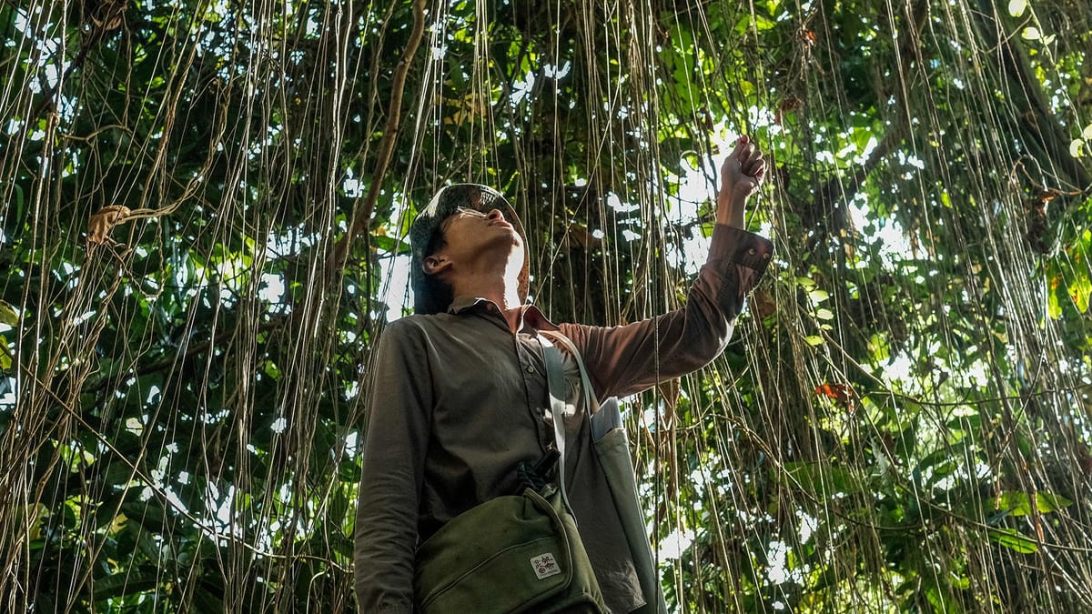 One person’s quest to save Dover Forest